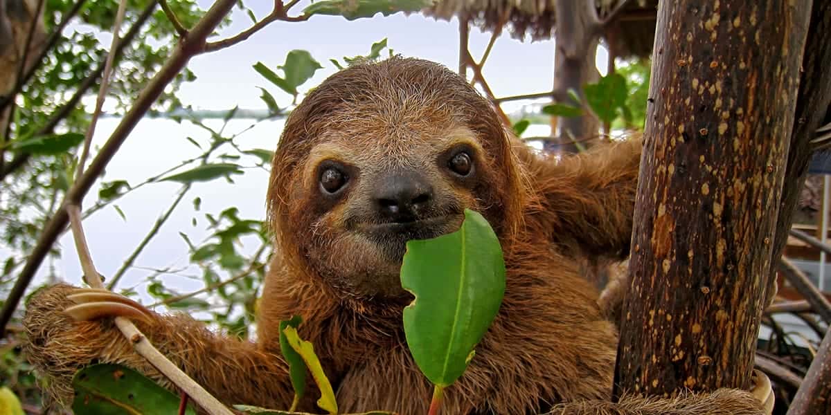 Was sollte Panama besser machen? - FRAPAN-Invest, Corp.